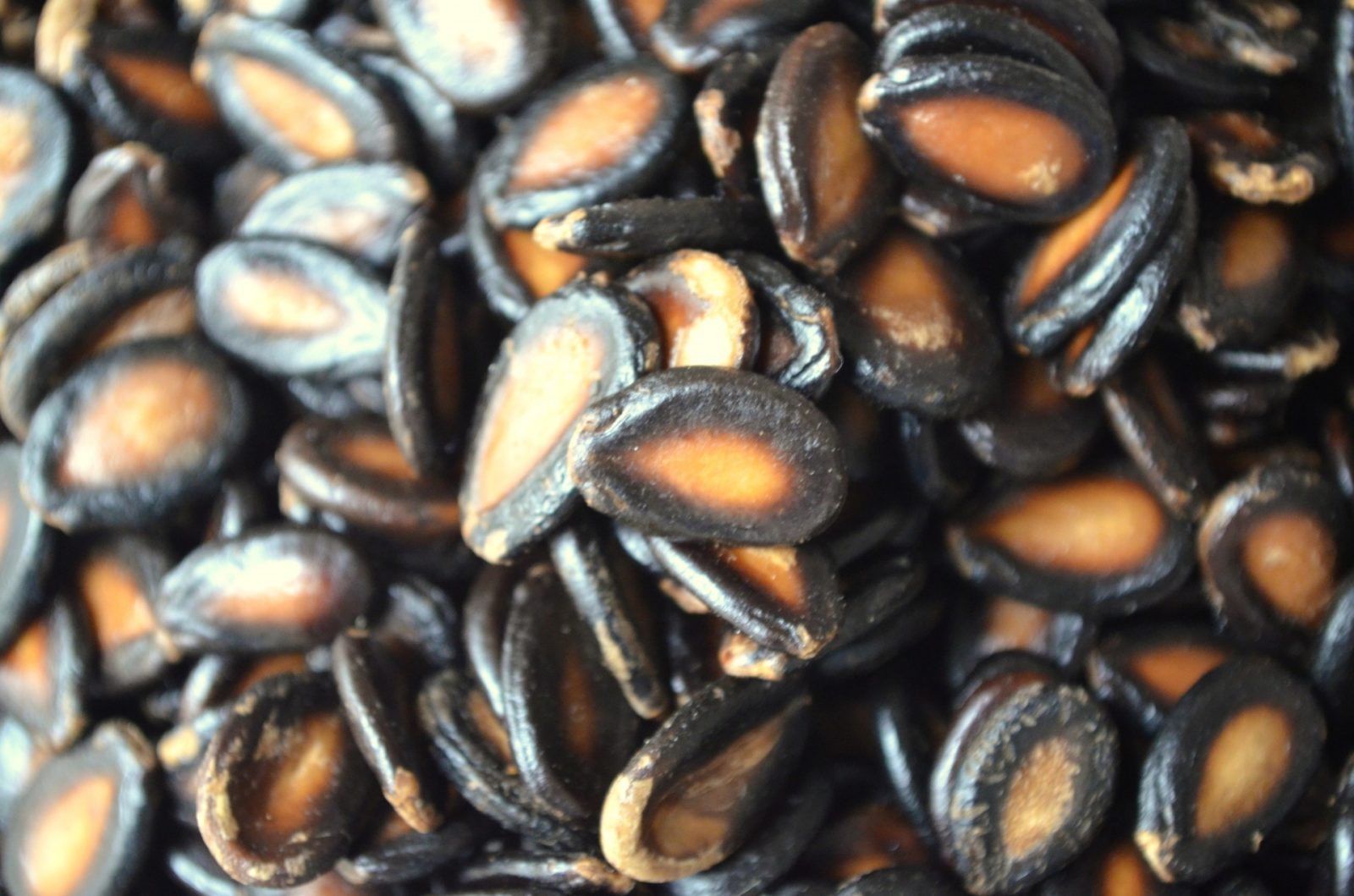 Kako Sačuvati Sjemenke Lubenice za Iduće Sezone – Vodič za Uspješan ...